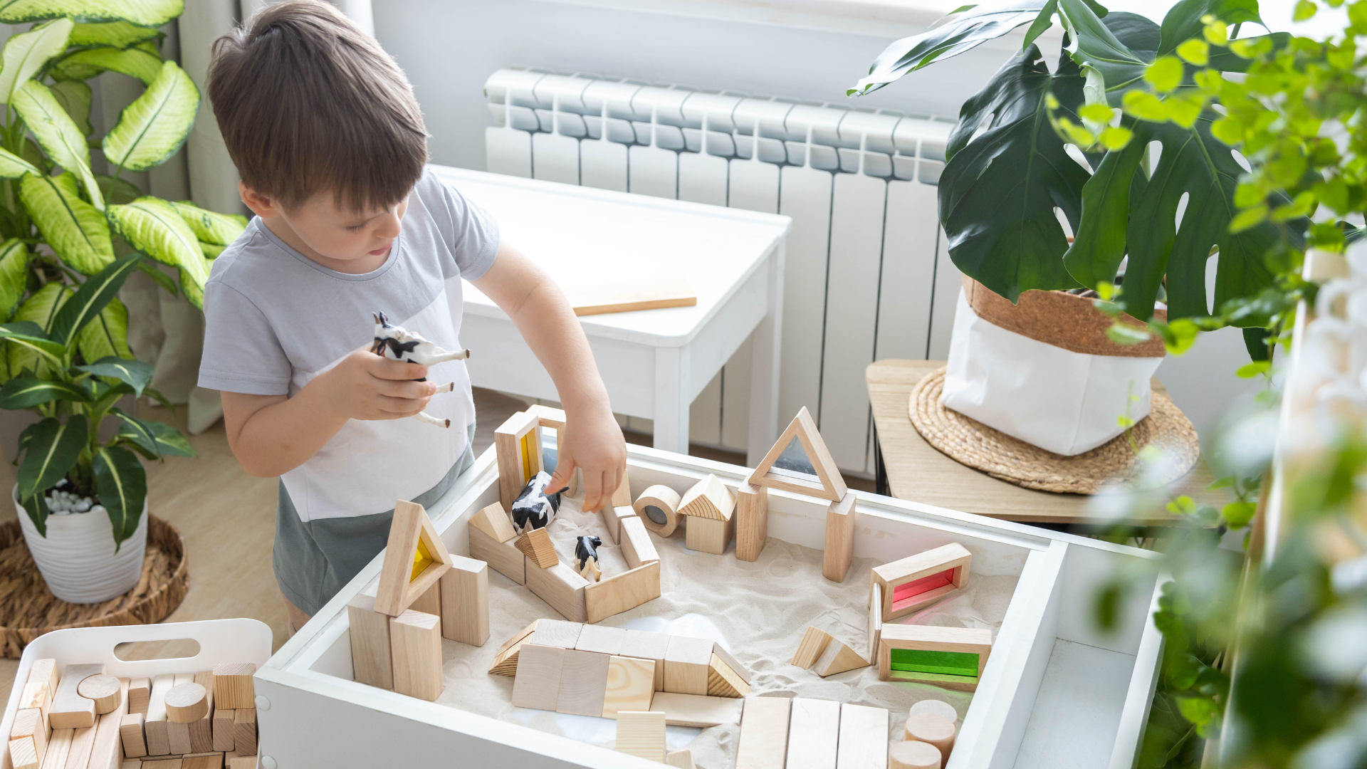 Watch "Exploring the Foundations of Montessori"